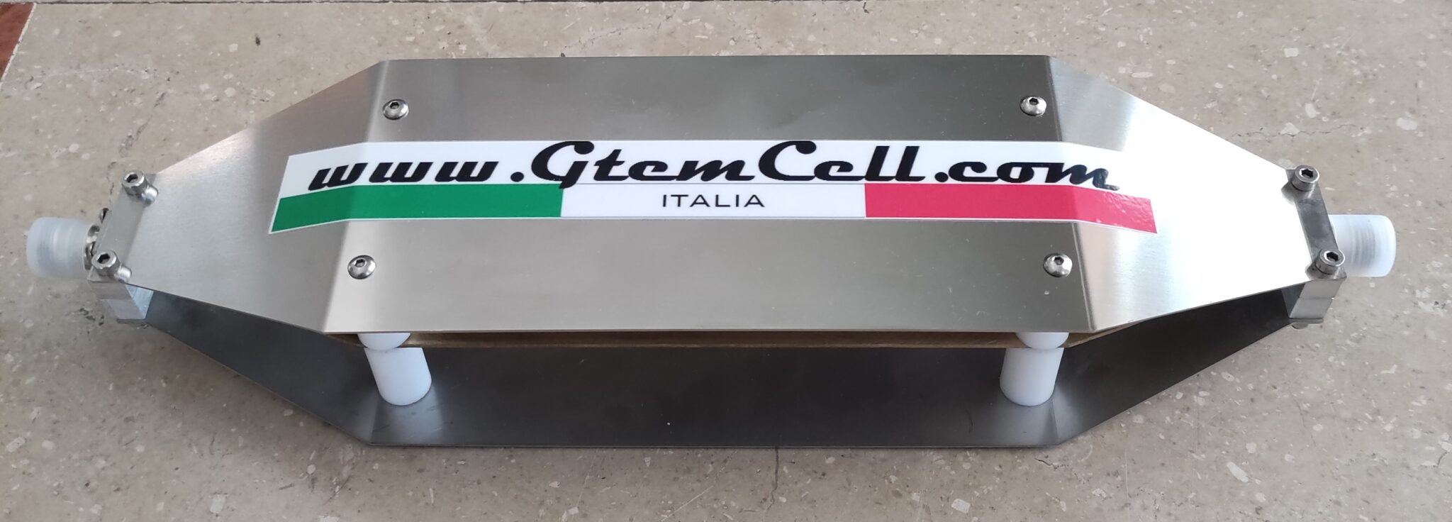 Gtem Cells » TEM Cells